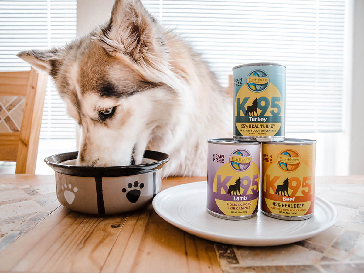 K95 Beef | Earthborn Holistic Pet Food