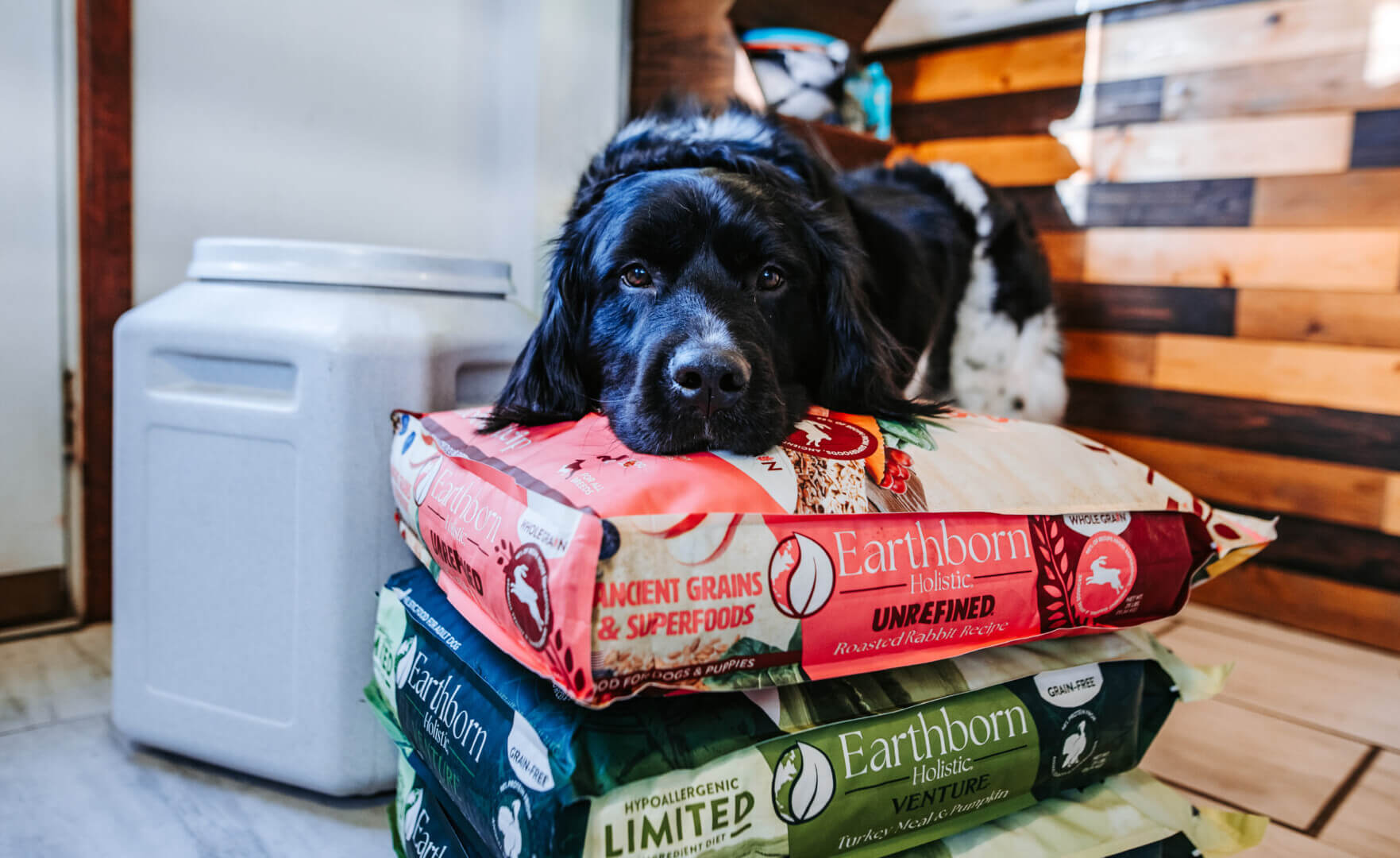 Tips for Your Dog Food Storage Container - Earthborn Holistic Pet Food