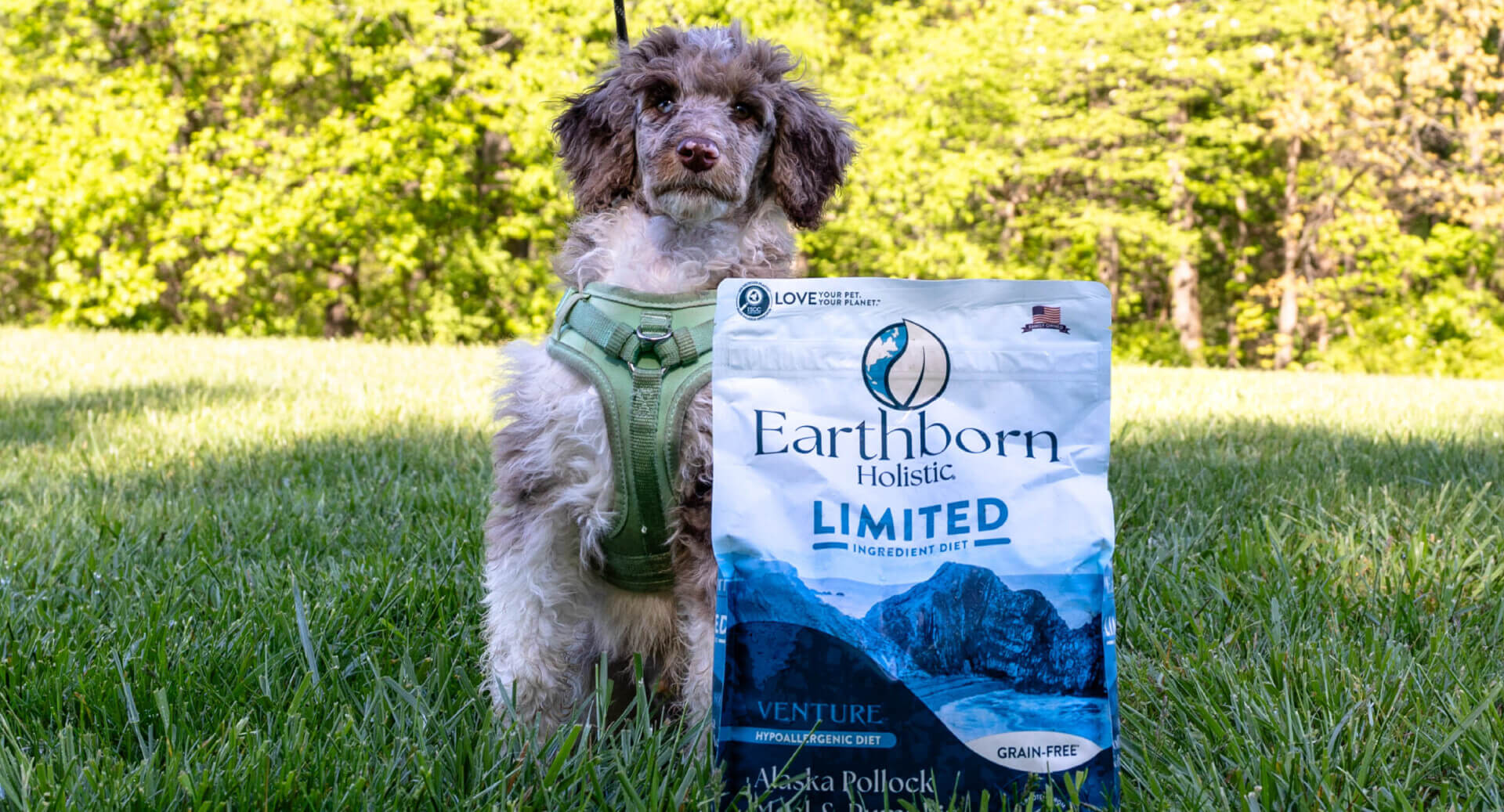The Best Puppy Food for Your Growing Dog | Earthborn Holistic Pet Food