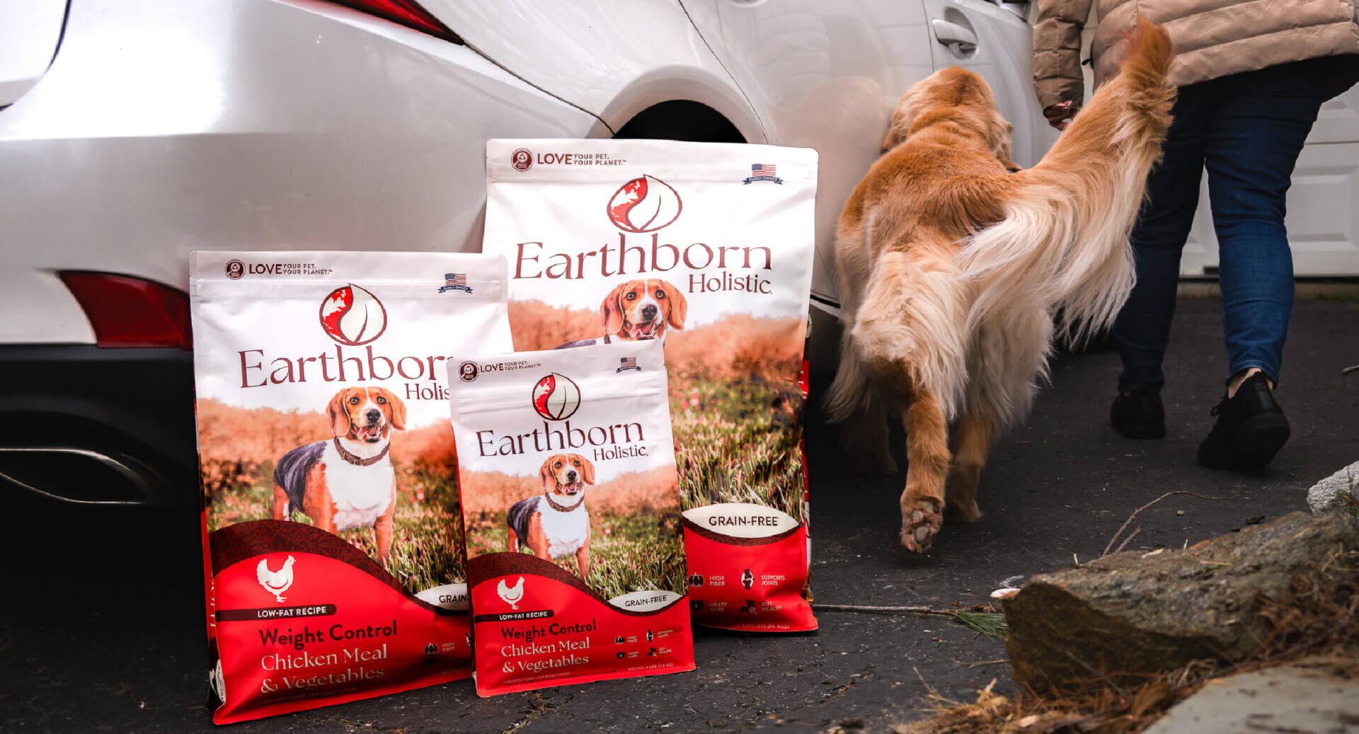 Why Is My Dog Gaining Weight? | Earthborn Holistic Pet Food