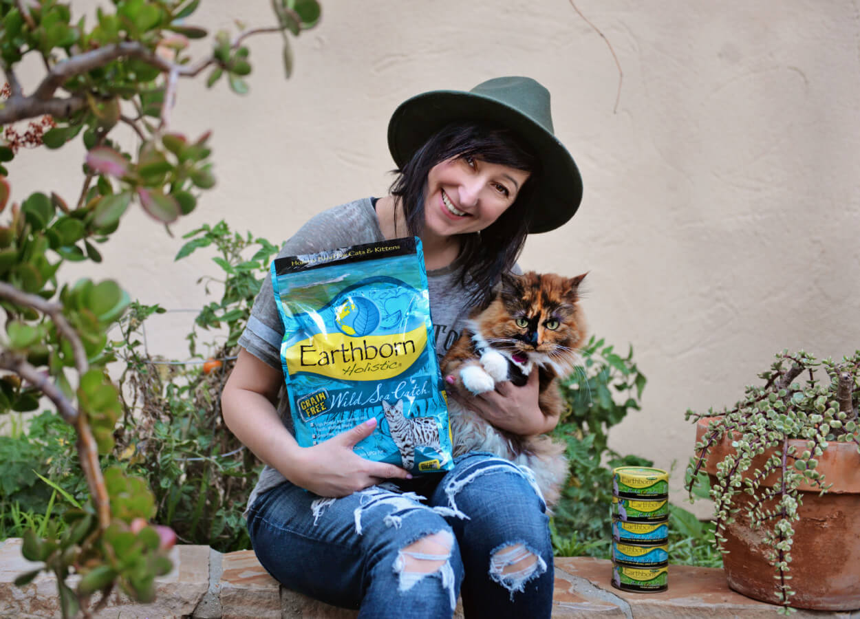 Everything to Know About Cat Kibble | Earthborn Holistic Pet Food