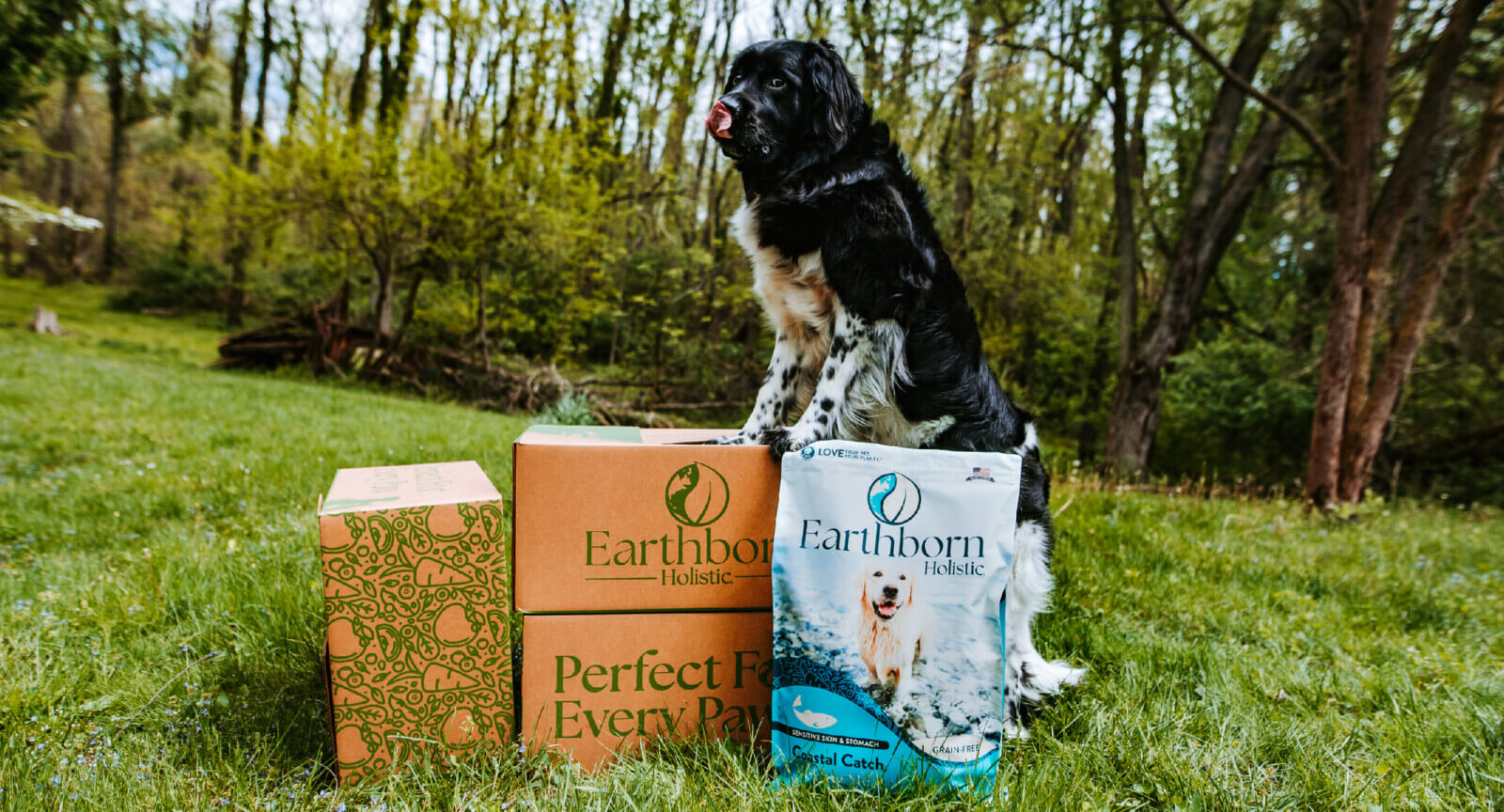 A Guide to the Best Large Breed Dog Food | Earthborn Holistic Pet Food