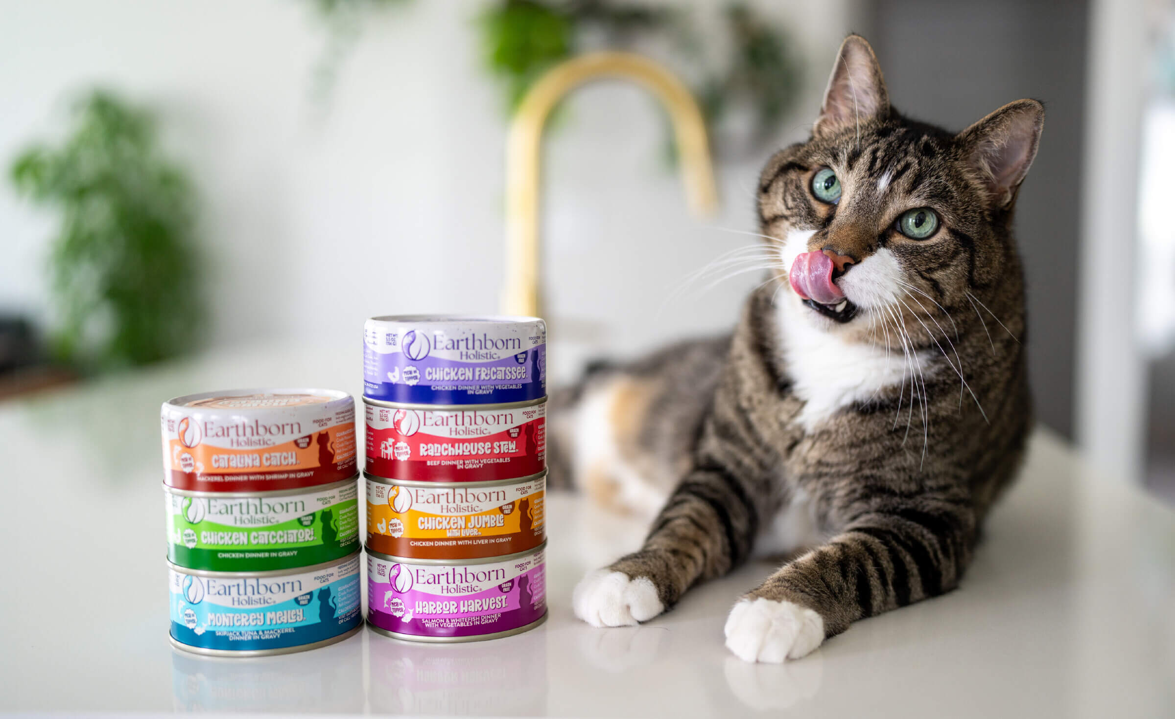 Types of Cat Food to Consider When You're Shopping | Earthborn Holistic ...