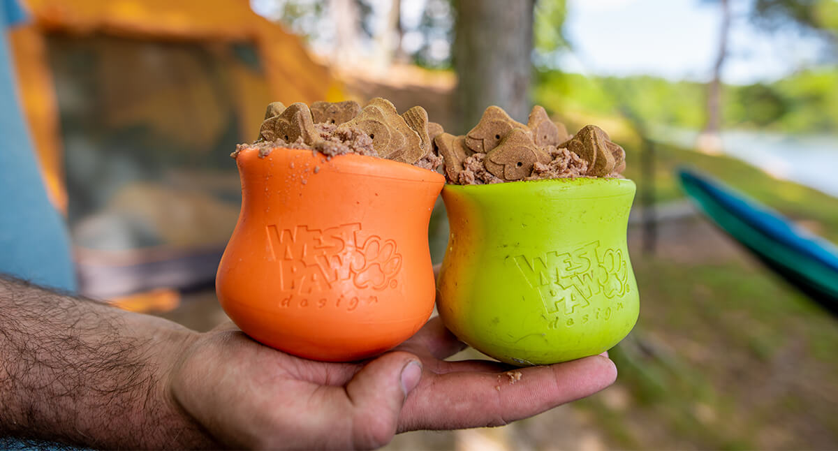 The Ultimate Guide to Interactive Dog Toys - Earthborn Holistic Pet Food