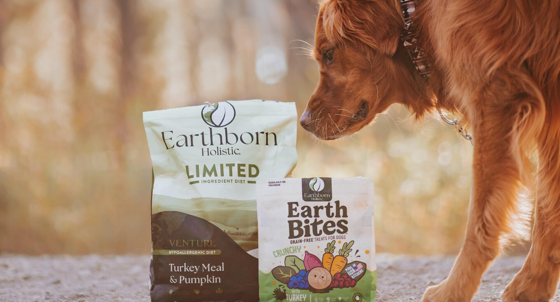 Dietary Fiber for Dogs: What You Need to Know - Earthborn Holistic Pet Food