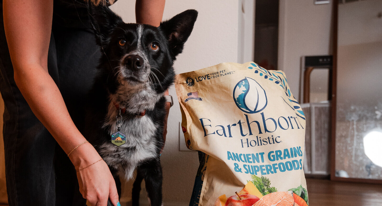 The Ultimate Guide to Superfoods for Dogs - Earthborn Holistic Pet Food