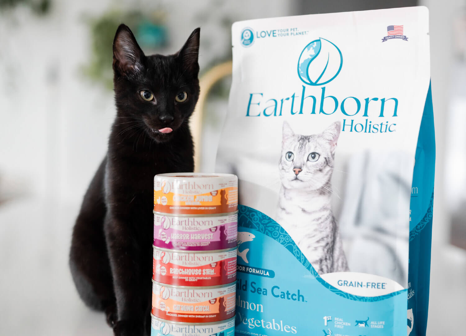 Everything to Know About Cat Kibble | Earthborn Holistic Pet Food