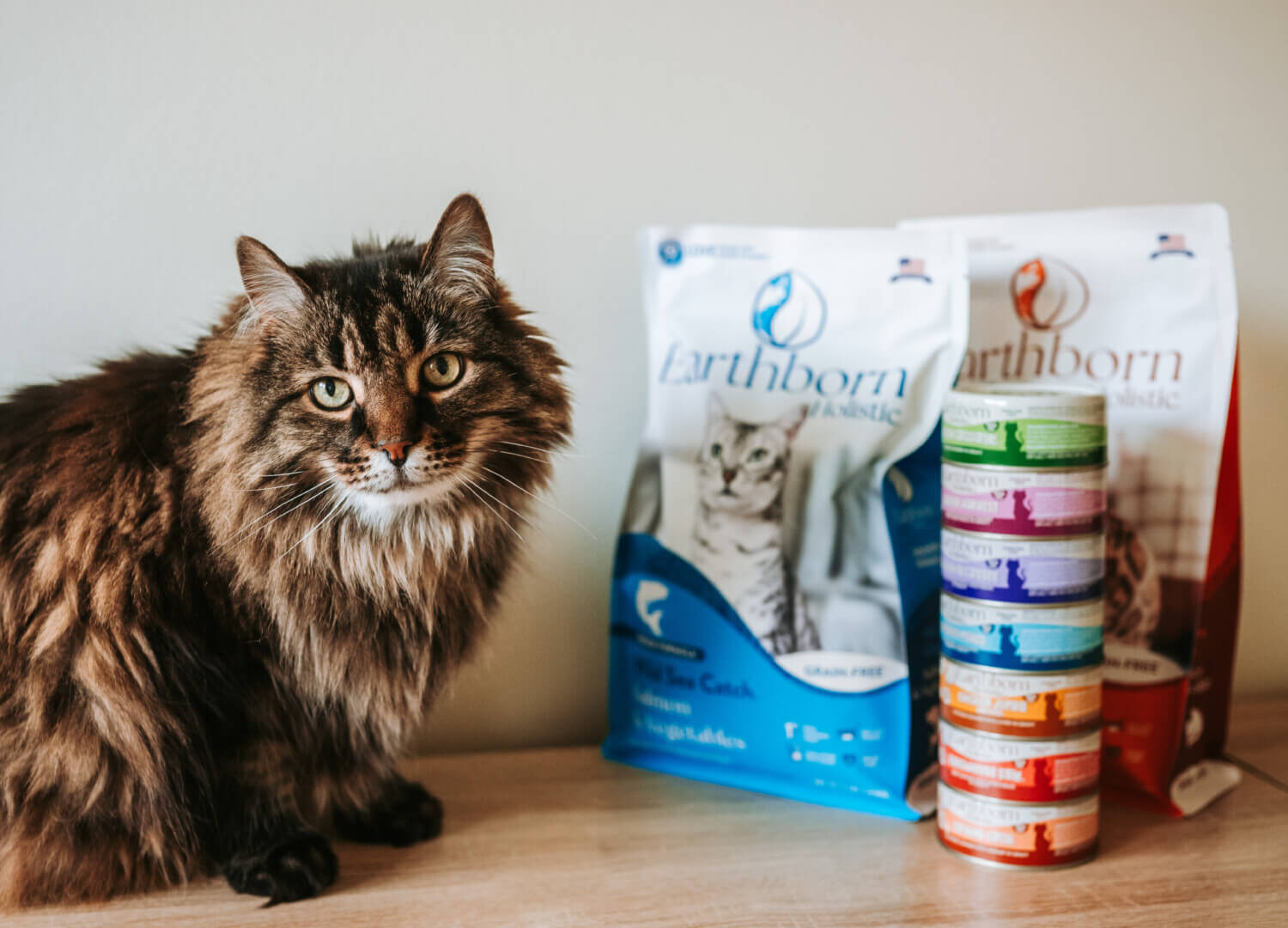 Everything to Know About Cat Kibble | Earthborn Holistic Pet Food