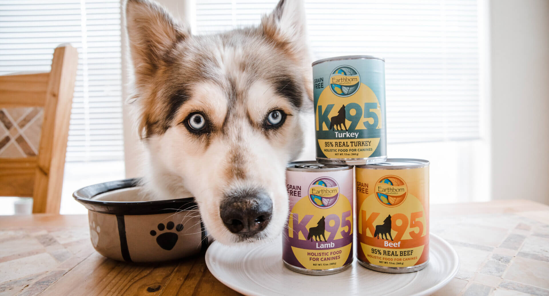 What Seasonings Can Dogs Have? Safe Spices, Herbs, and Flavorings to ...