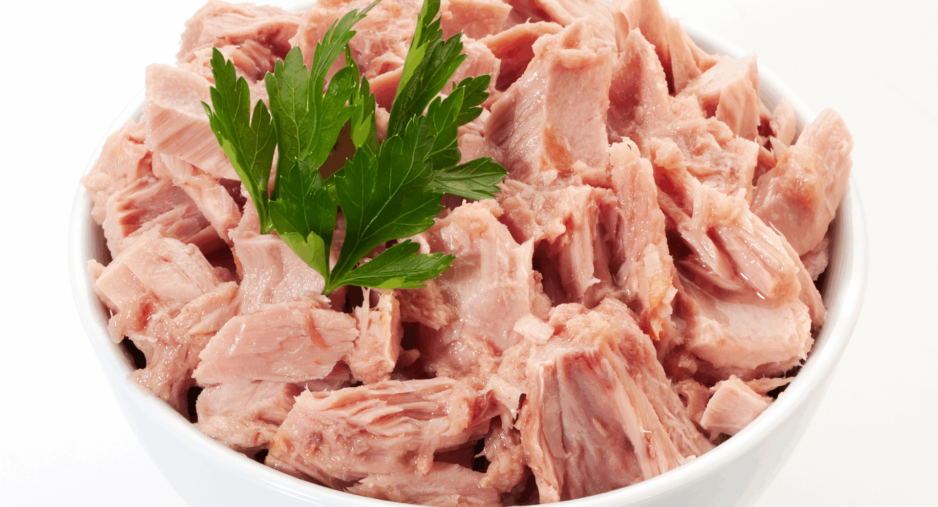 Is Tuna Good for Cats? The Pros and Cons Explained - Earthborn Holistic ...